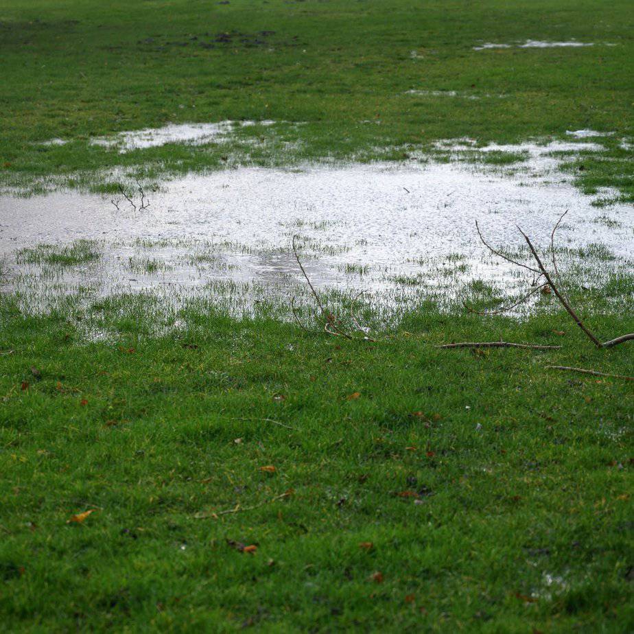 How To Drain Swampy and Water-Logged Soils: Best Practice Guidelines ...