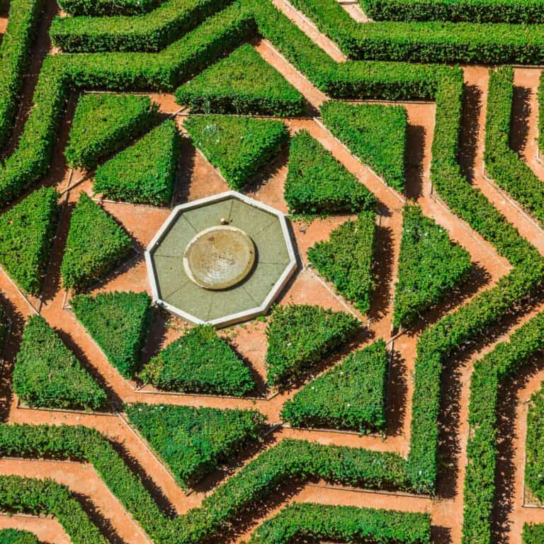 Hedges: Pruning, Maintenance, and Creative Designs For An Enchanting ...
