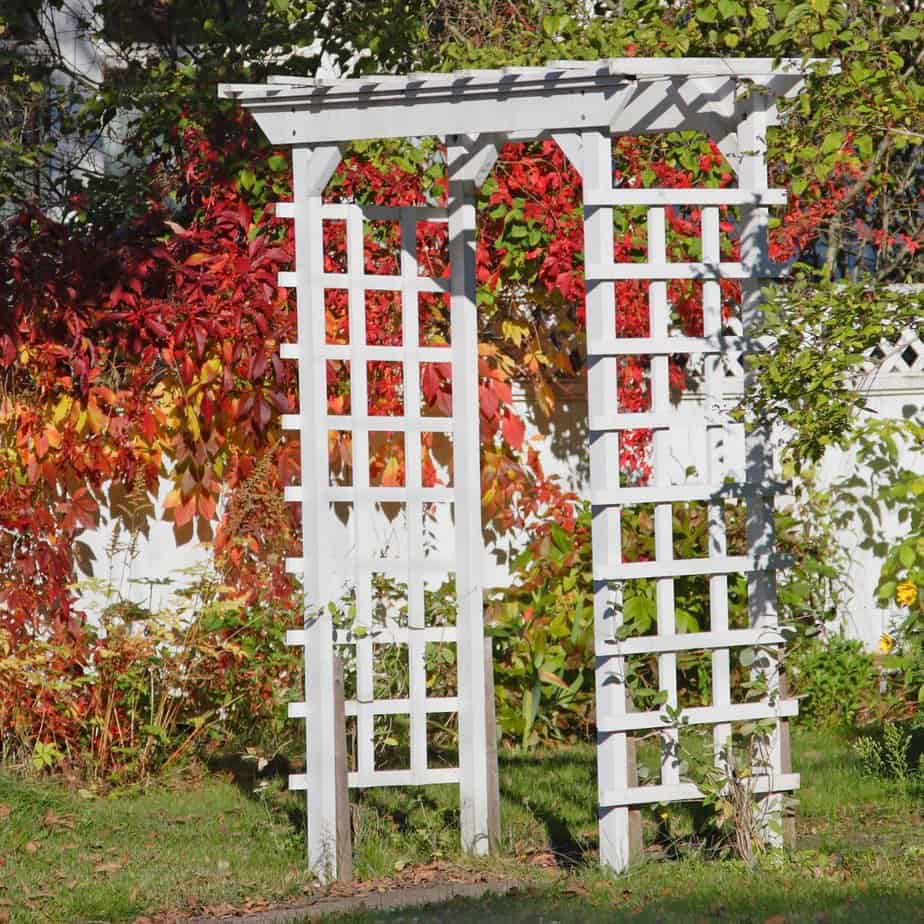 Adding an Arbour to Your Garden - Inspiring Landscape Solutions