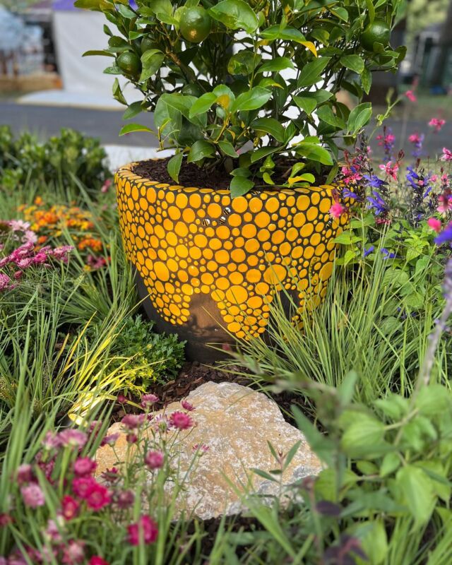 When’s best to start your garden design? - Inspiring Landscape Solutions